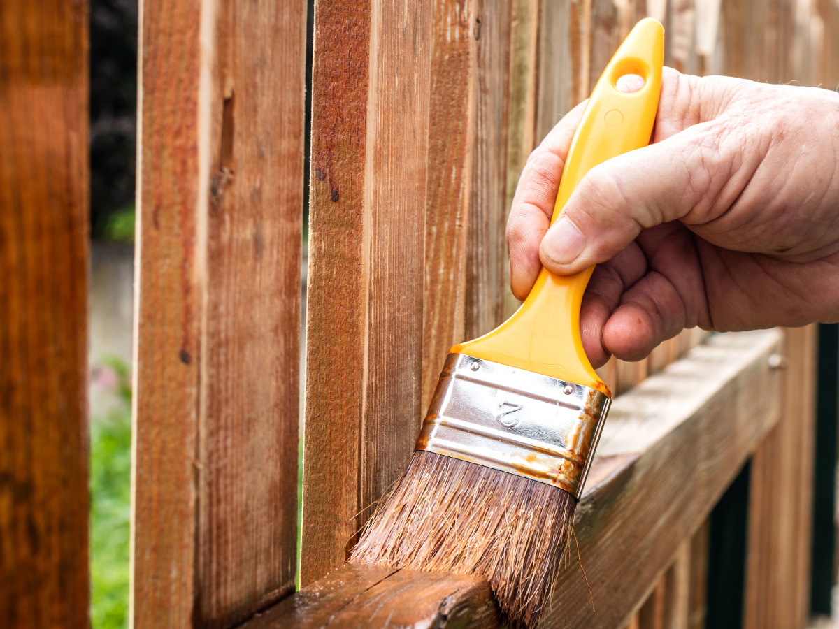 Schutting Beitsen – Tips en Praktisch Stappenplan - 2024