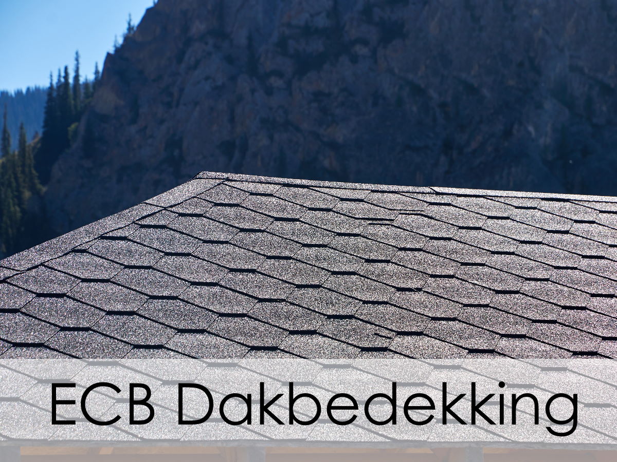 ECB dakbedekking | Vergelijking verschillende soorten - 2025