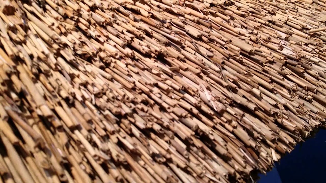 Rieten dak; De belangrijkste 3 dingen die je ervan moet weten 2023