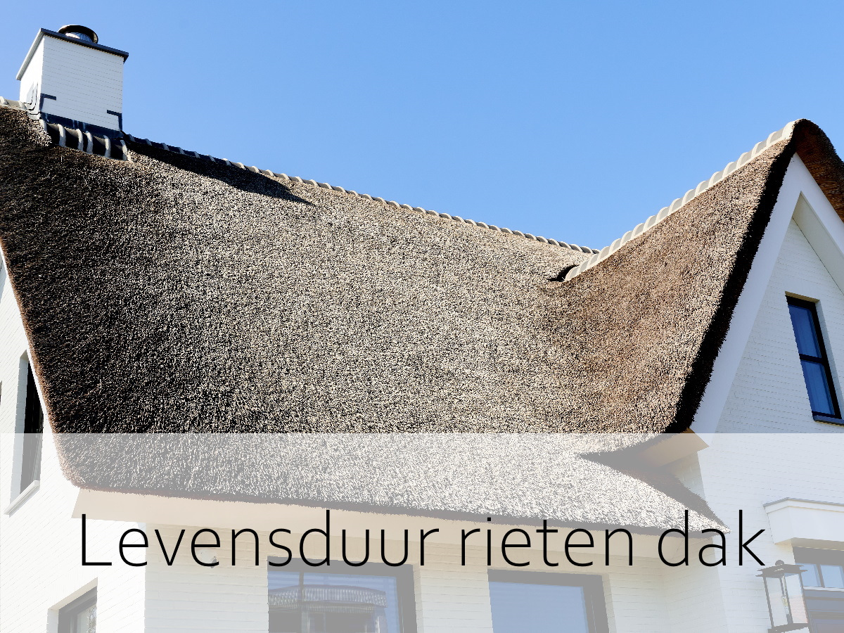 Levensduur rieten dak | Wat beïnvloed de levensduur? - 2025
